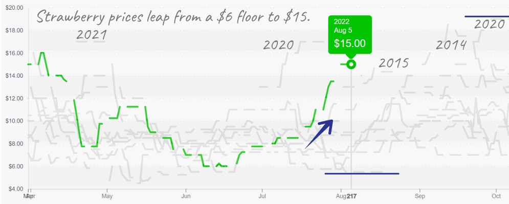 Overall prices fall during heat-driven volatility | ProduceIQ