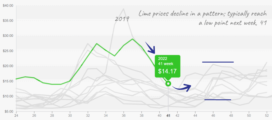 Produce markets remain elevated during fall transition | ProduceIQ